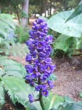 Connecticut's Spring Blossom Finder | CTvisit