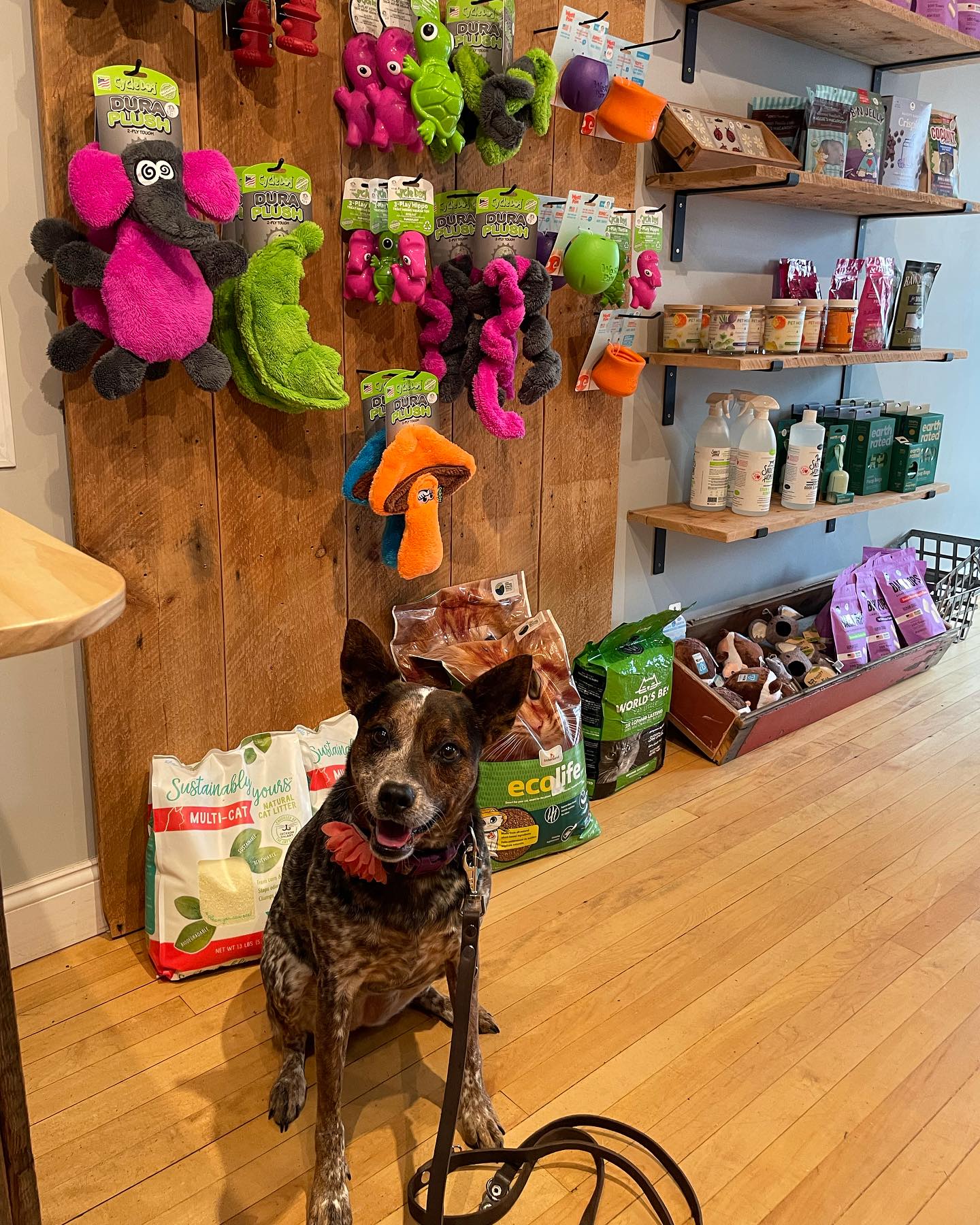 Green Connecticut – Sustainable Travel | CTvisit