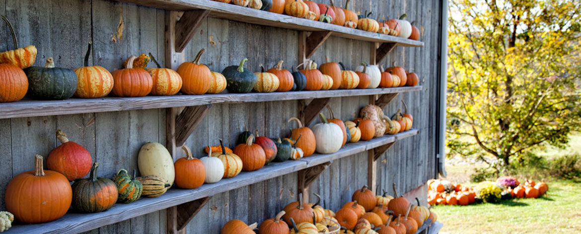 The Perfect New England Fall...is in Connecticut | CTvisit
