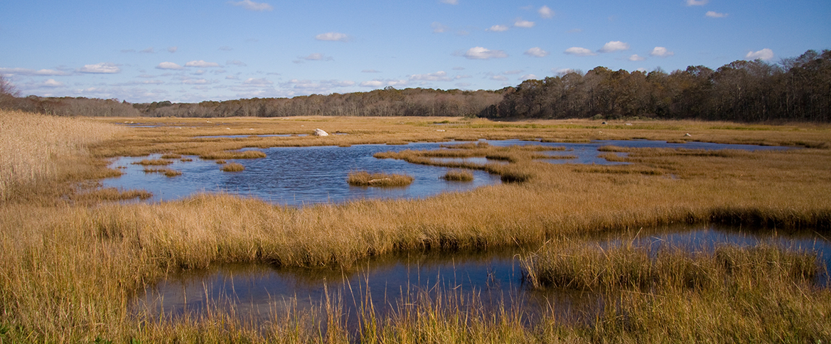 Peaceful Hikes for Every County | CTvisit