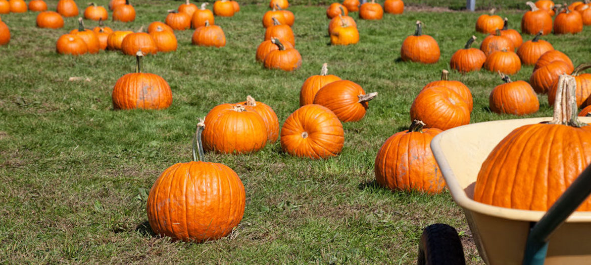 The Perfect New England Fall...is in Connecticut | CTvisit