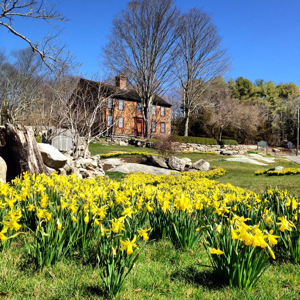 Connecticut's Spring Blossom Finder | CTvisit