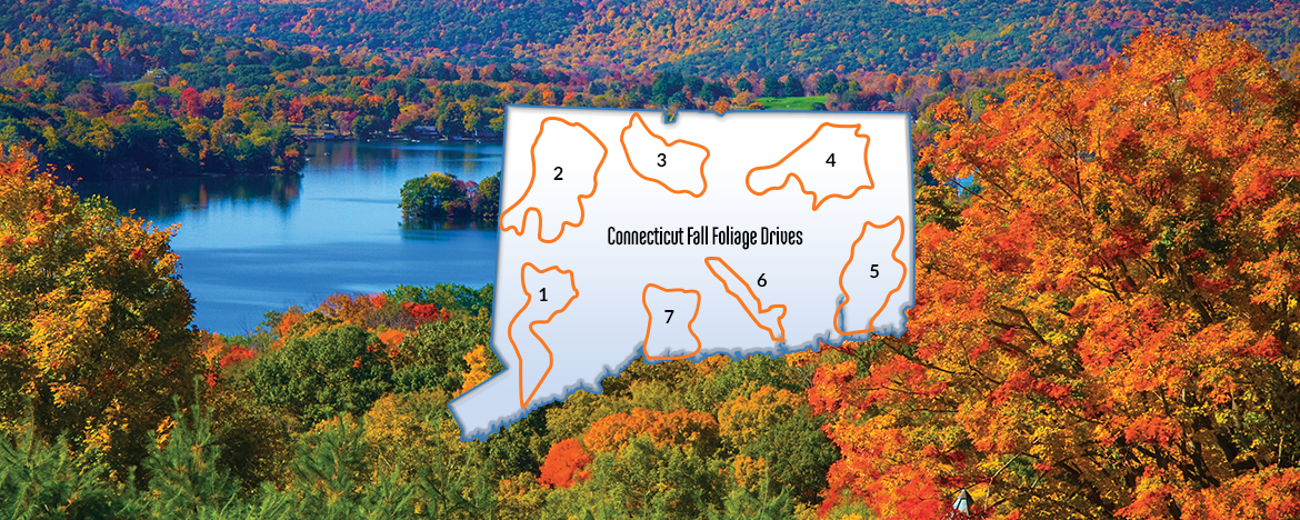 Halloween Fun for 2025 | CTvisit