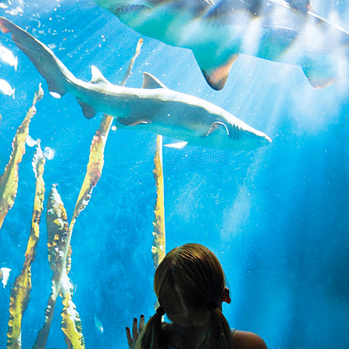 Fun for Kids in Connecticut | CTvisit