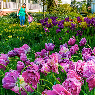 Things to do this weekend in CT | CTvisit