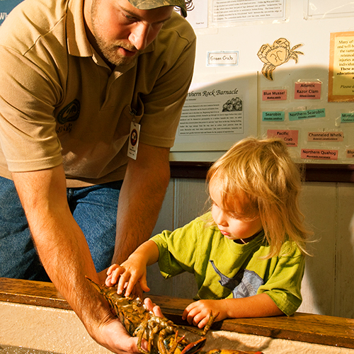 Fun for Kids in Connecticut | CTvisit