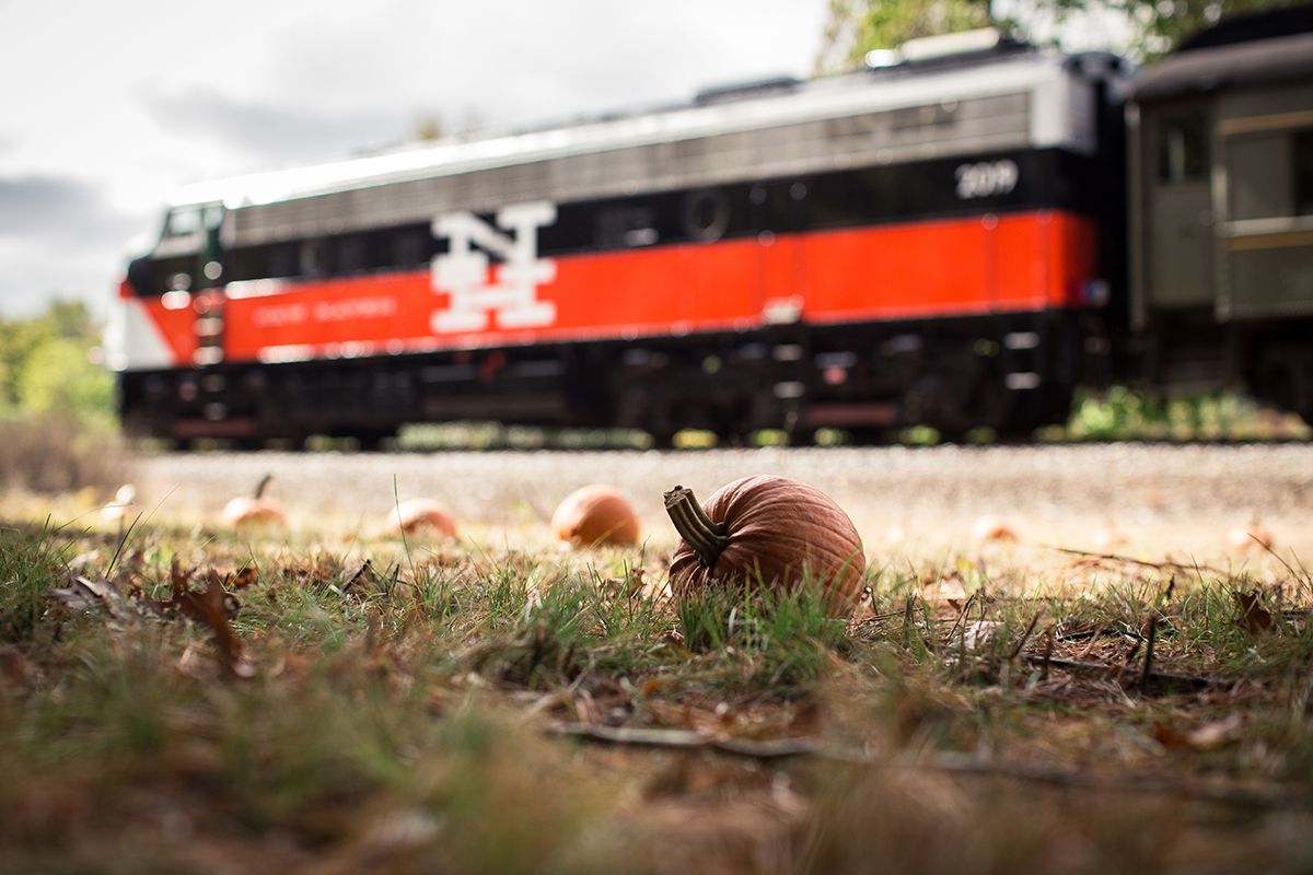 Railroad Museum of New England/Naugatuck Railroad Company | CTvisit