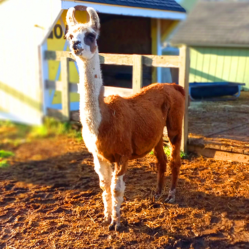 Fun for Kids in Connecticut | CTvisit