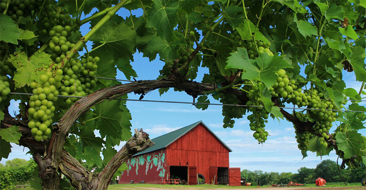 Planning a Wedding in Connecticut? Start Here. | CTvisit