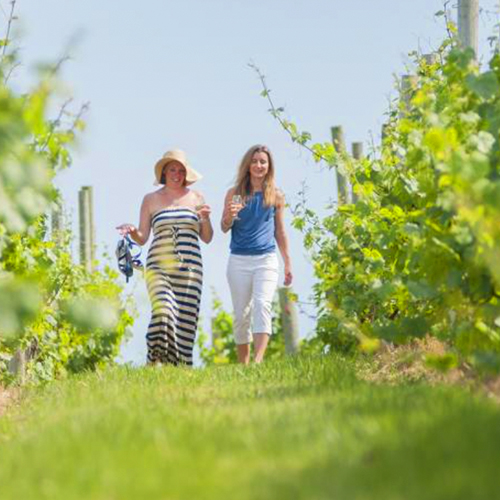 Tap into Connecticut’s Breweries, Wineries and Distilleries! | CTvisit