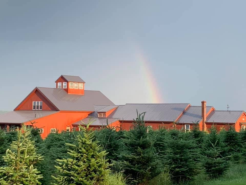 The Best Christmas Tree Farms in Eastern Connecticut | CTvisit