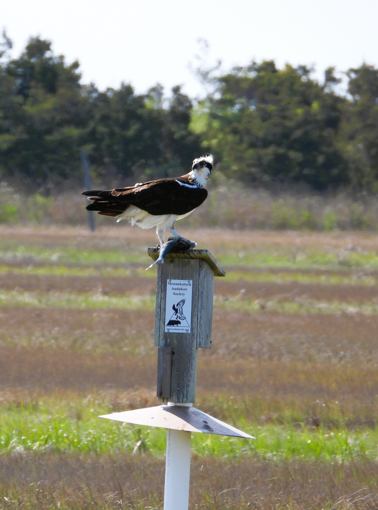 Find Foliage at these Hidden Gem State Parks | CTvisit