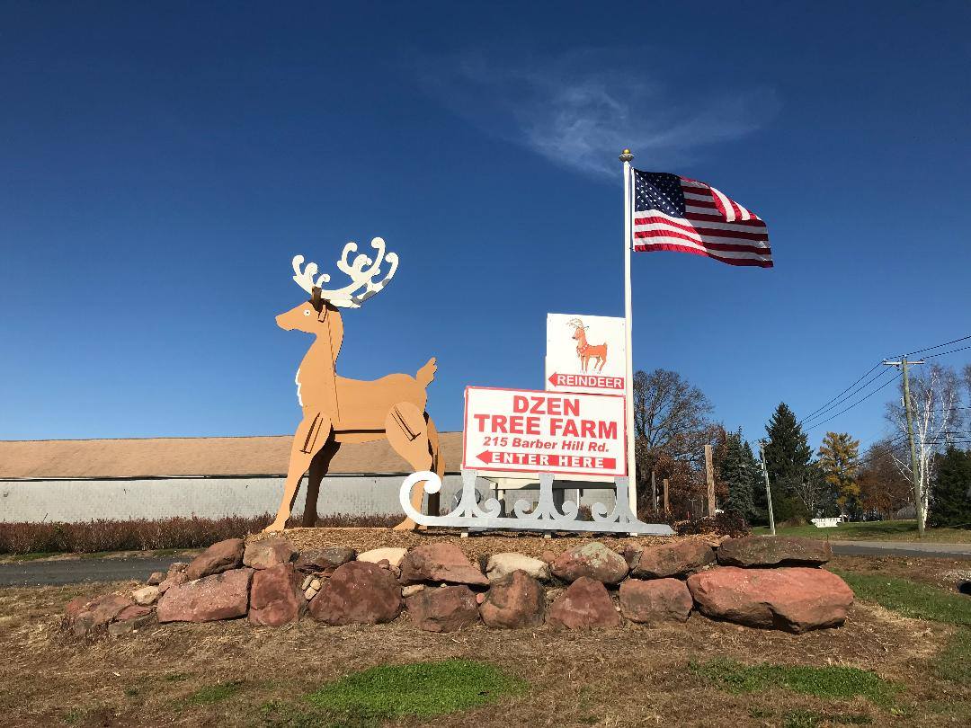 Ways to Plan an Unforgettable Thanksgiving | CTvisit