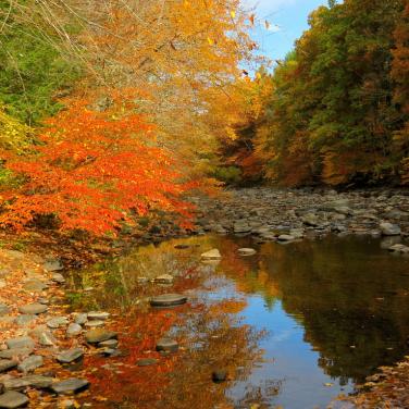 Family Fun for All Four Seasons | CTvisit