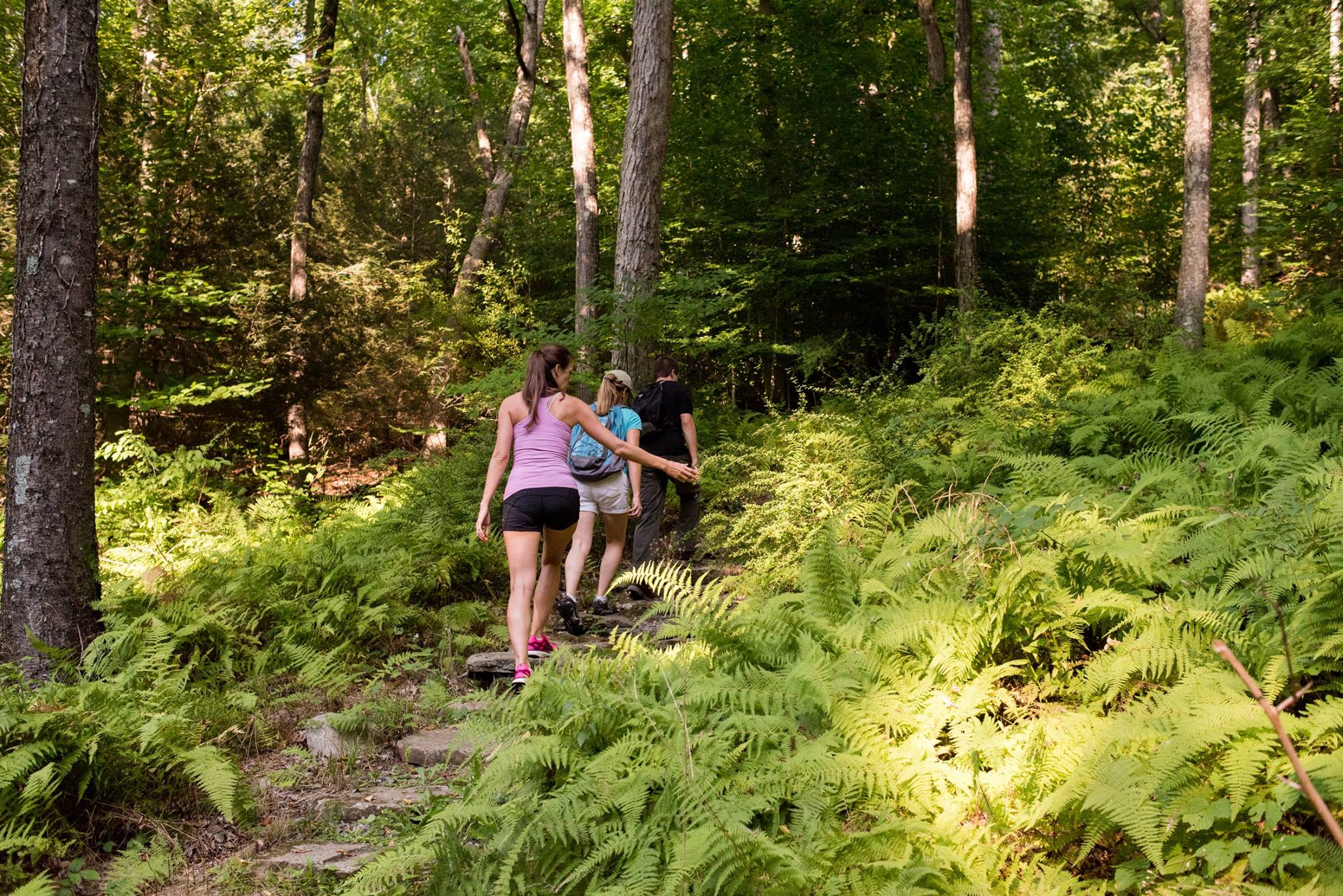 Make It Here Campaign | CTvisit