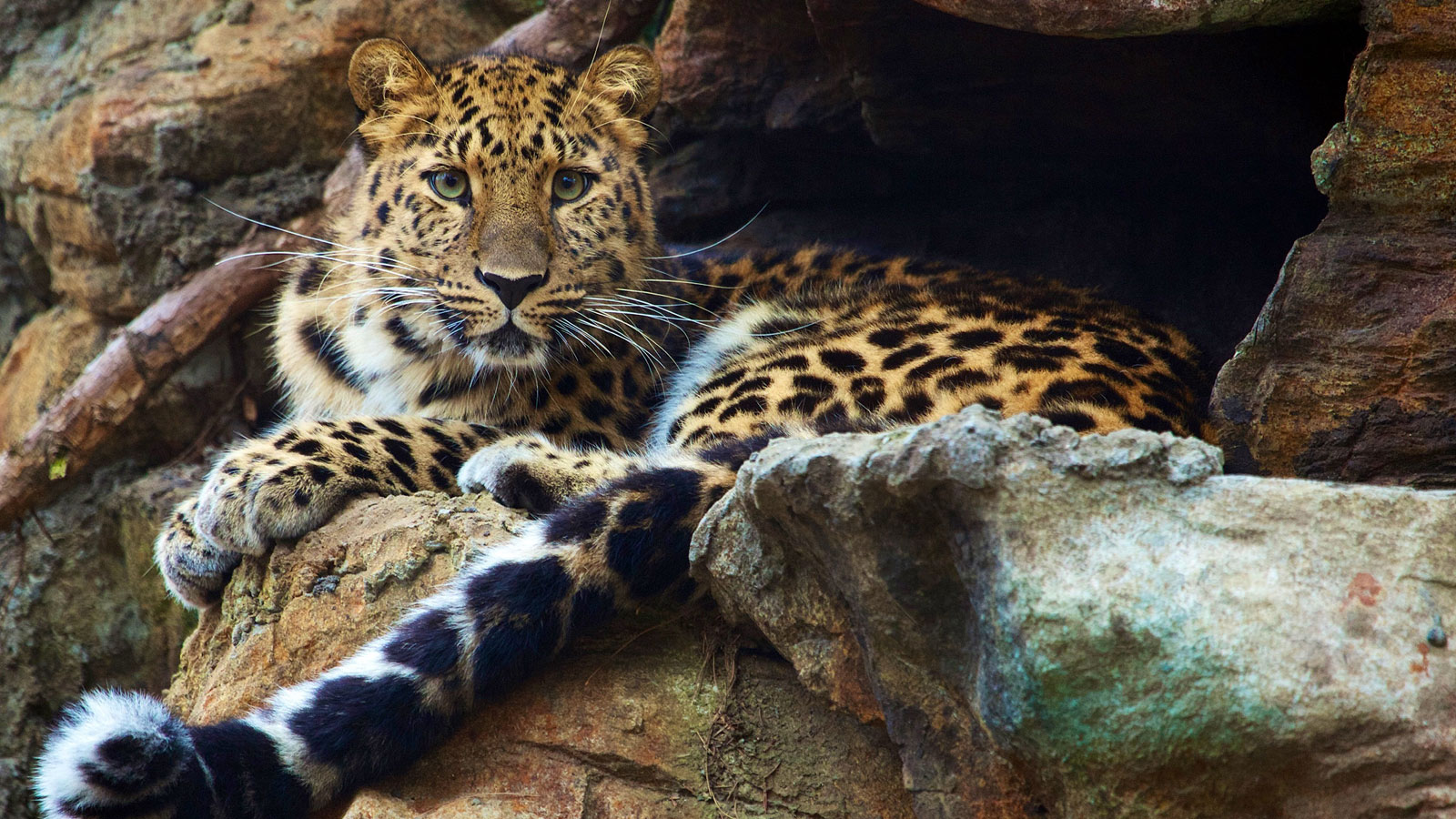 The InishShor | CTvisit