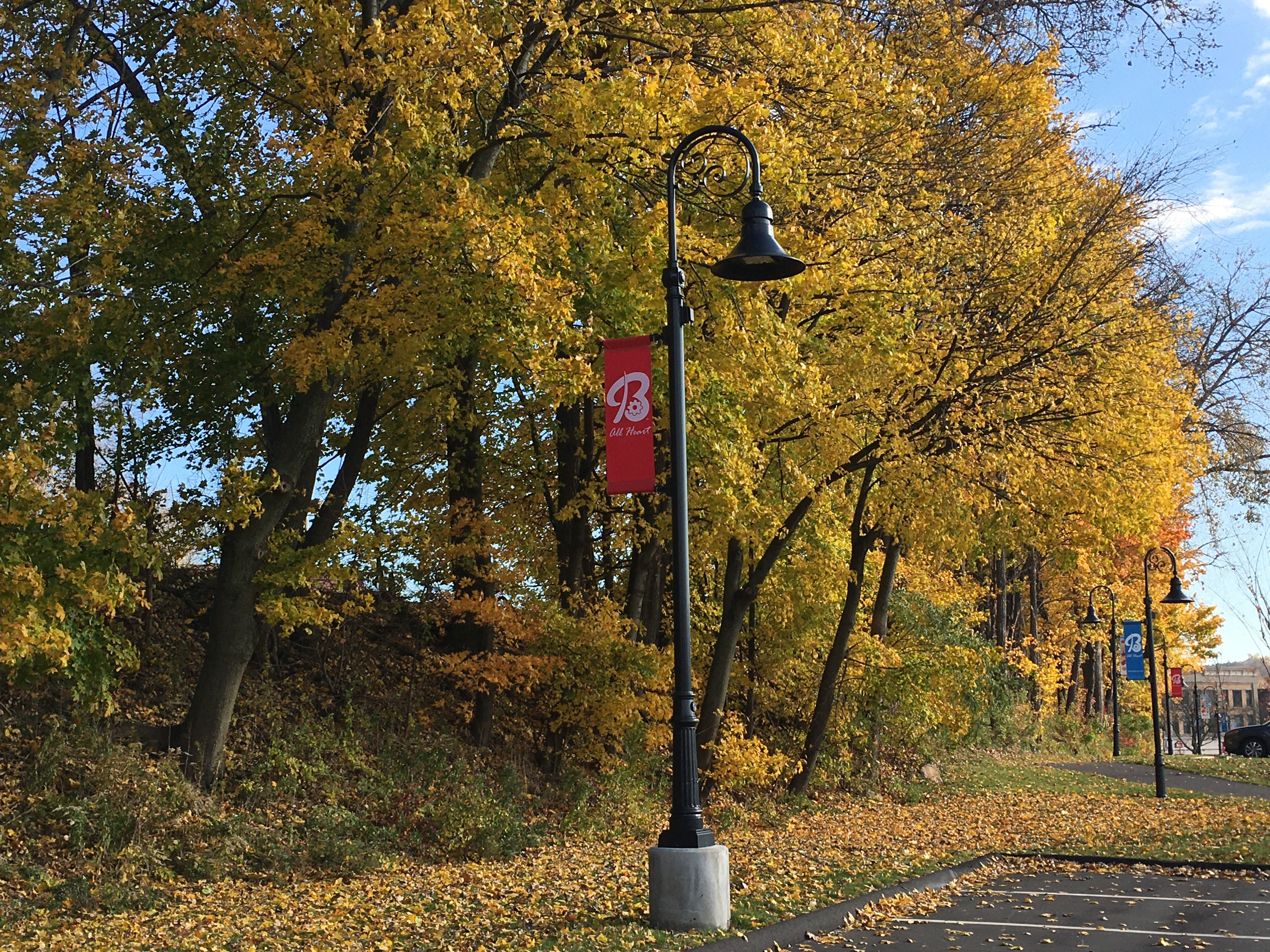 WorthWhile Reads Used Bookstore | CTvisit