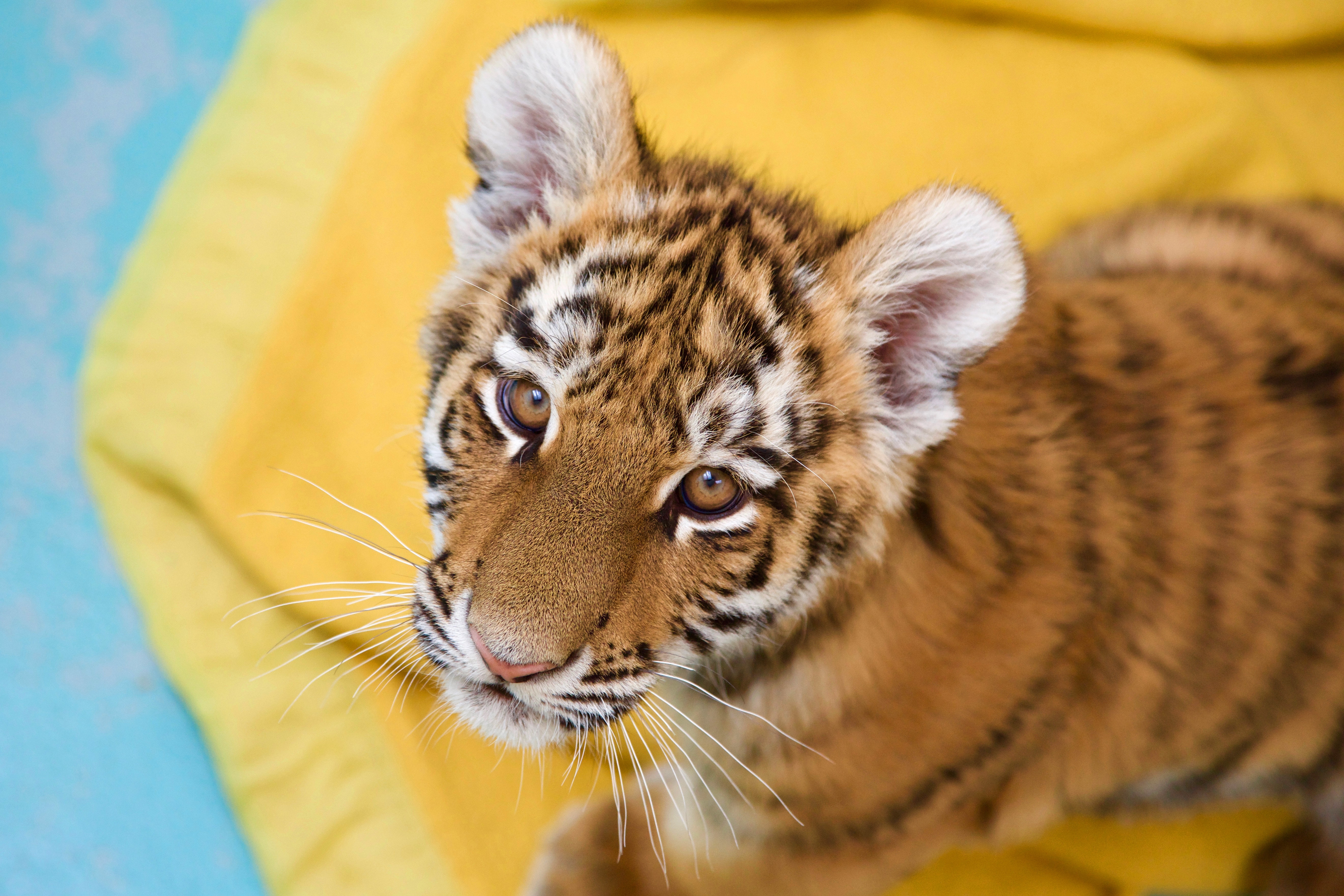 Fun for Kids in Connecticut | CTvisit