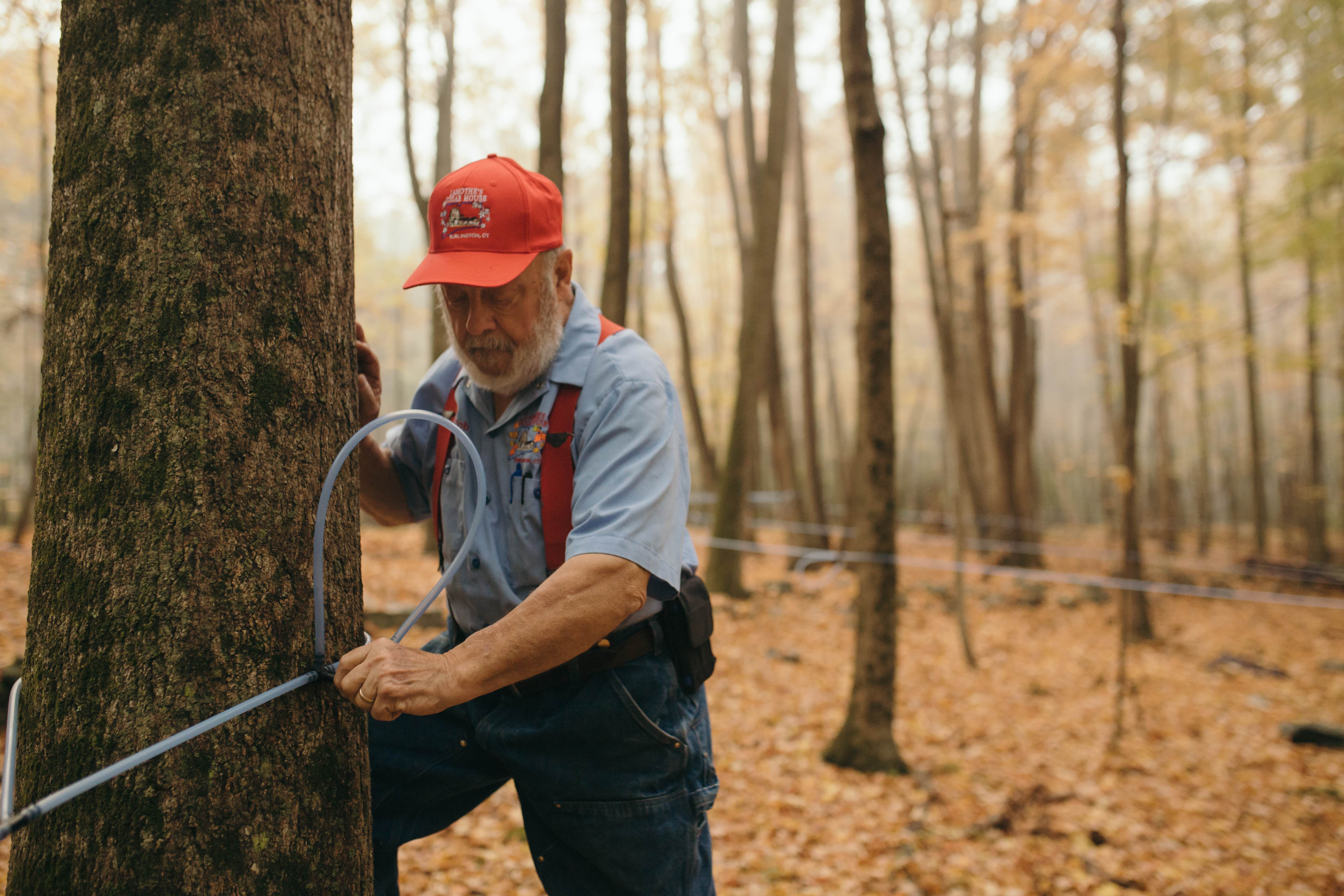 A Sweet Day Out – Maple Syrup Farms in Connecticut | CTvisit