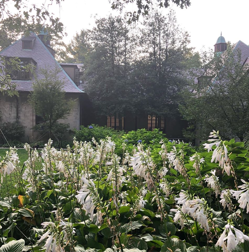 Connecticut's Spring Blossom Finder | CTvisit