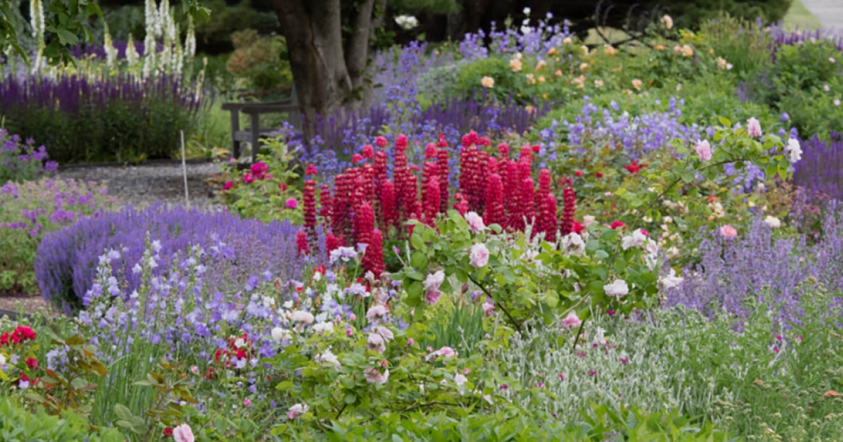 Spring Flowers & Gardens in the Litchfield Hills | CTvisit