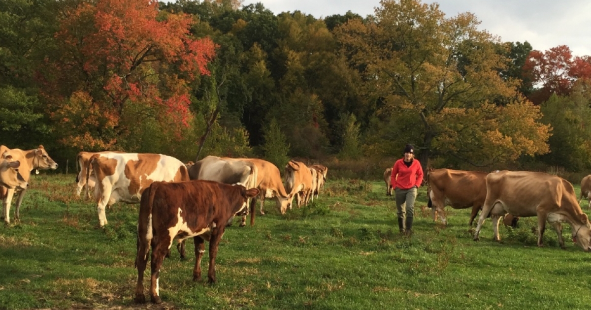 Cato Corner Farm | CTvisit
