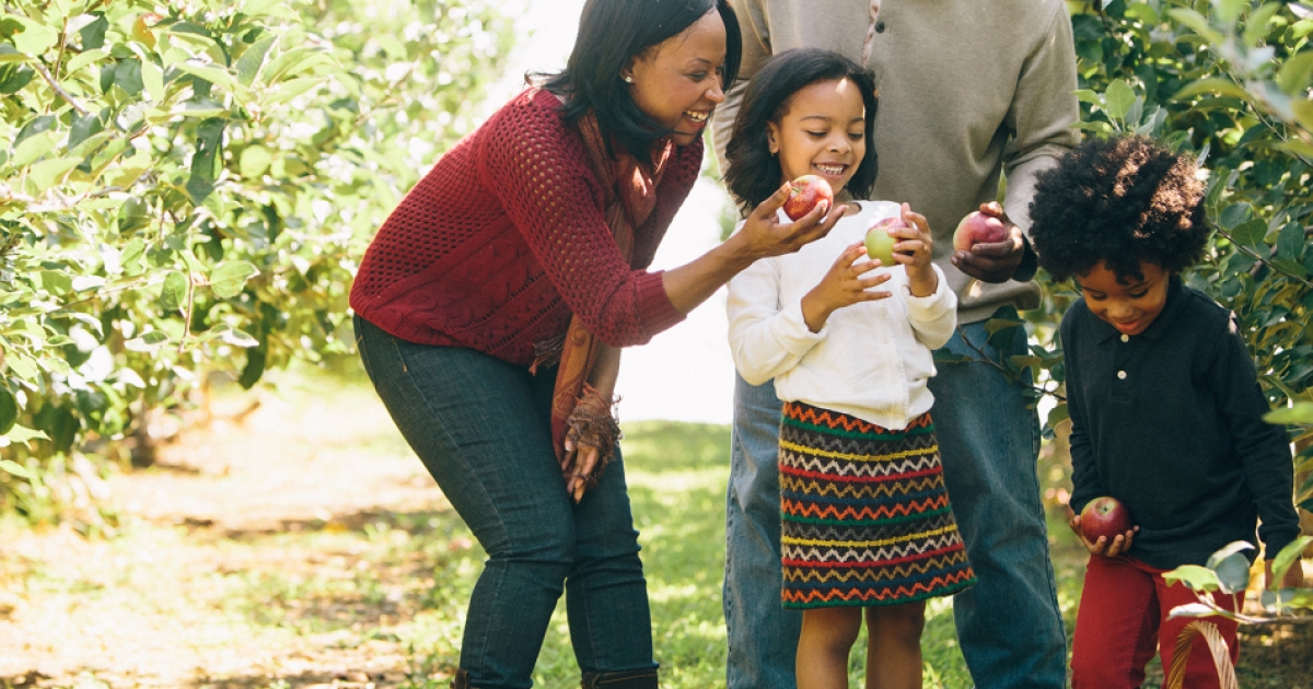 Silverman's Farm | CTvisit