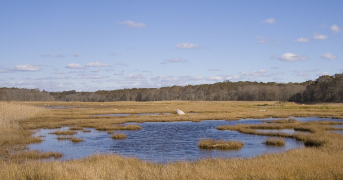 Barn Island Wildlife Management Area | CTvisit