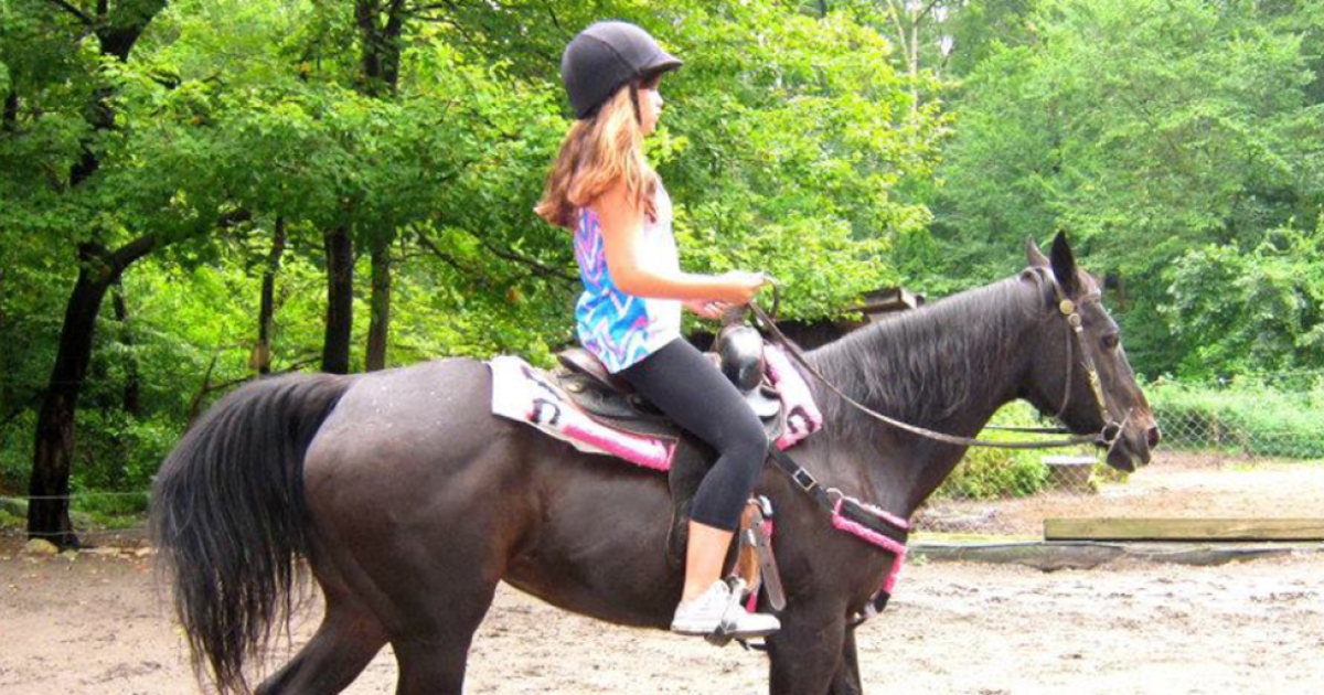 Blue Spruce Farm | CTvisit