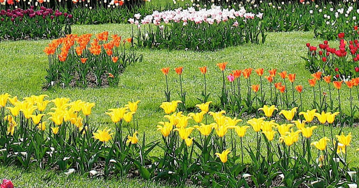 8 Spring Flings to Get You Out of the City | CTvisit