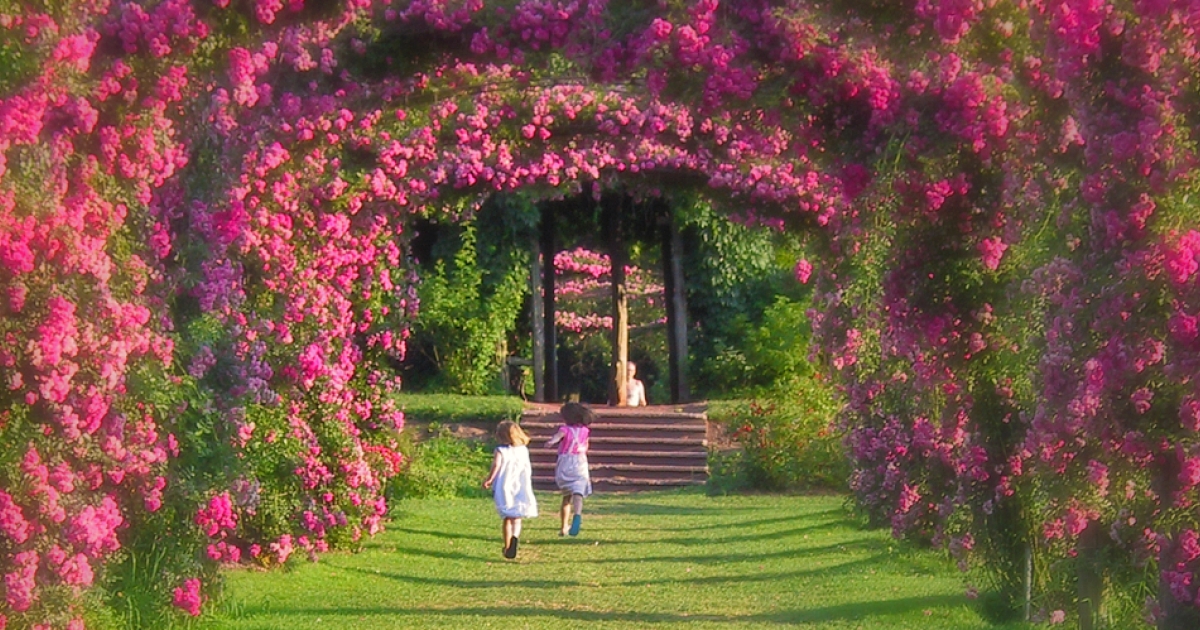 Instagrammable Connecticut: Summer Gardens | CTvisit