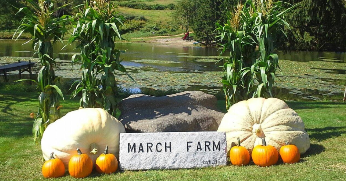 March Farm | CTvisit