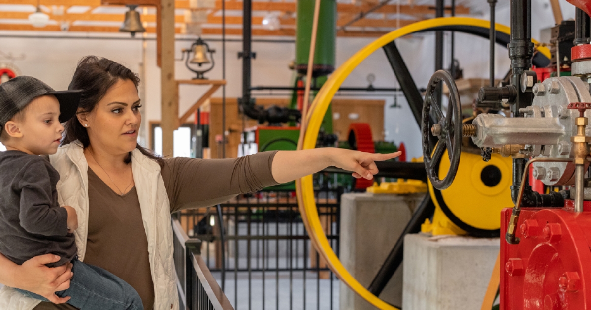 Genius Museum at Nature's Art Village | CTvisit