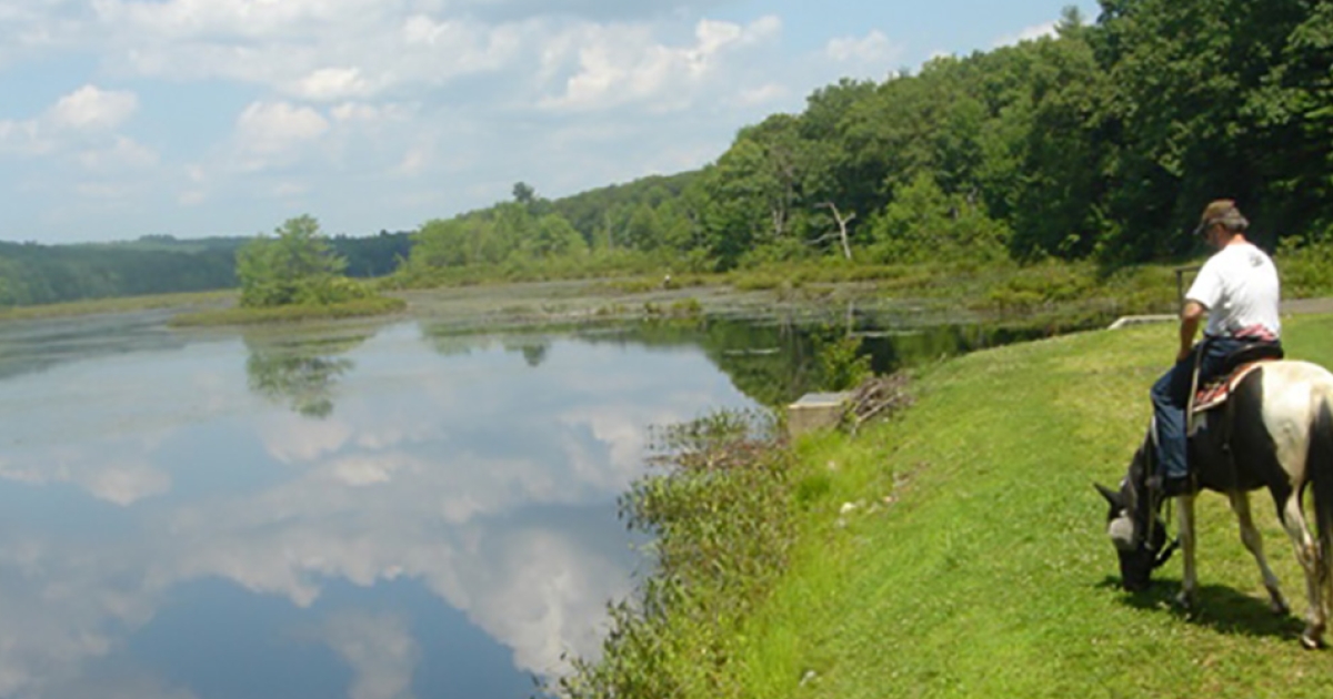 Natchaug State Forest | CTvisit