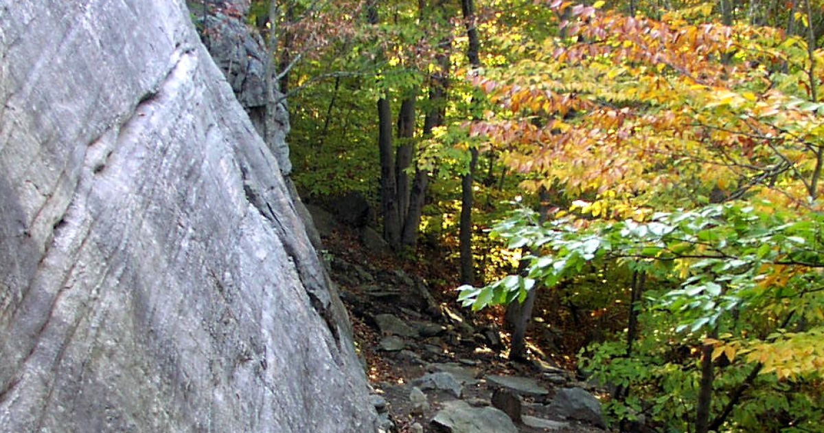 Nipmuck State Forest | CTvisit