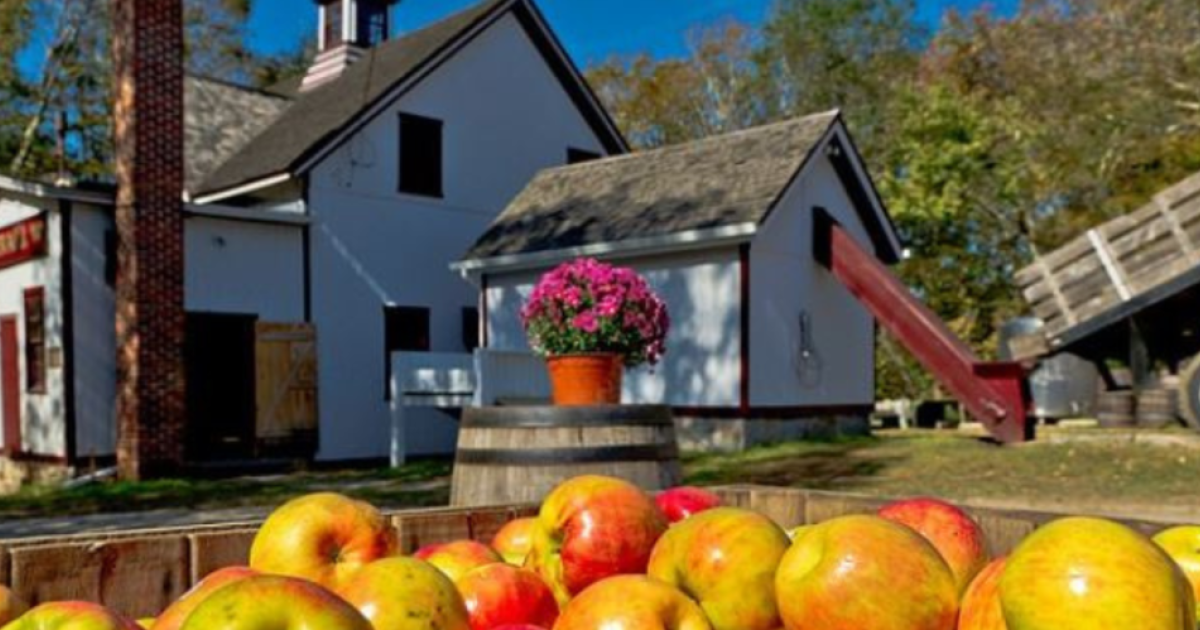 A Visit to Clyde's Cider Mill in Mystic | CTvisit