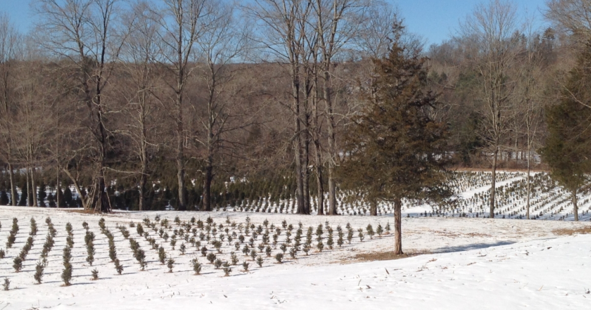 Ragland Farm | CTvisit