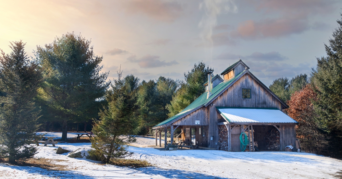 A Sweet Day Out – Maple Syrup Farms in Connecticut | CTvisit