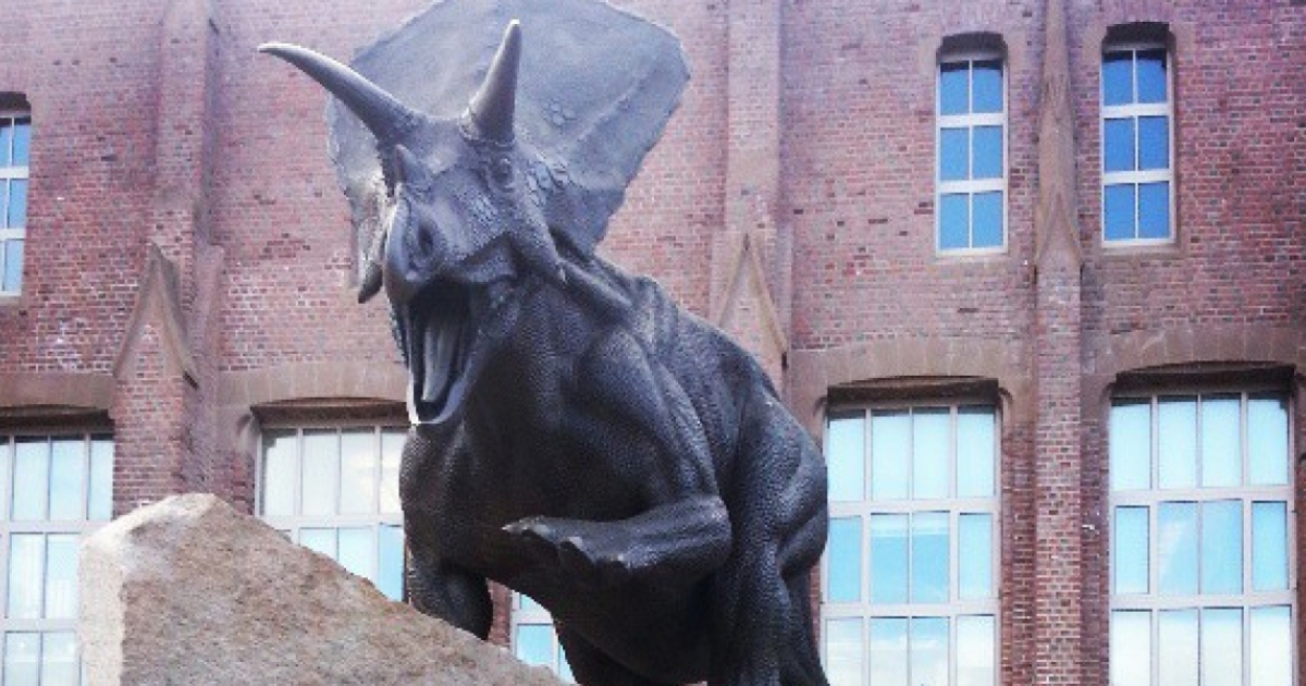 The Age of Giant Reptiles | CTvisit