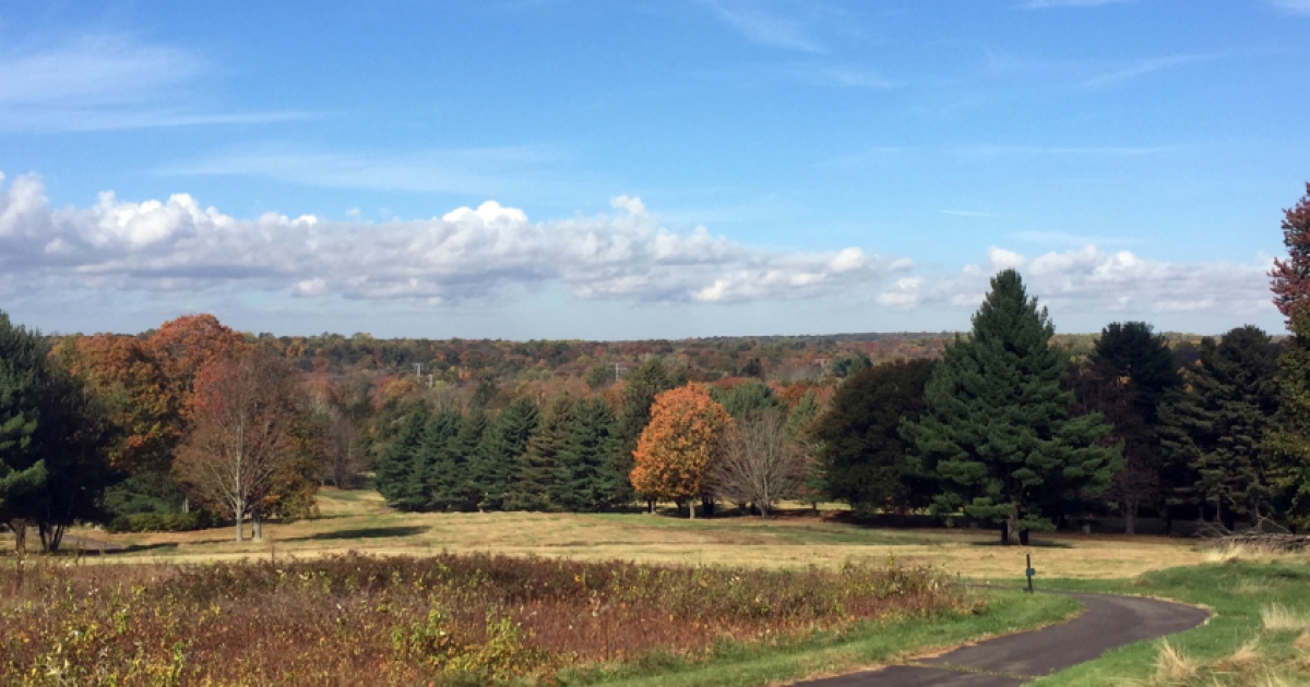 Town of Woodbridge | CTvisit