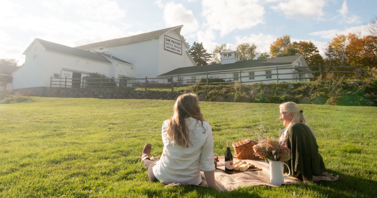 CT Grown - A Way of Life | CTvisit