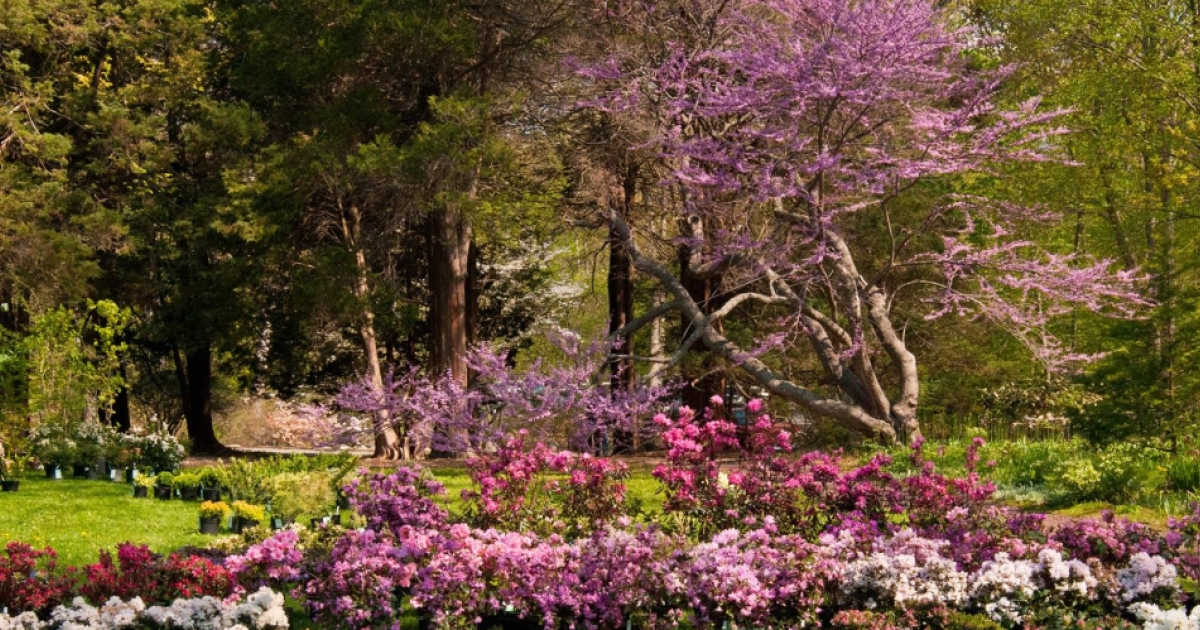 Top 10 Spring Things to Do in Fairfield County | CTvisit