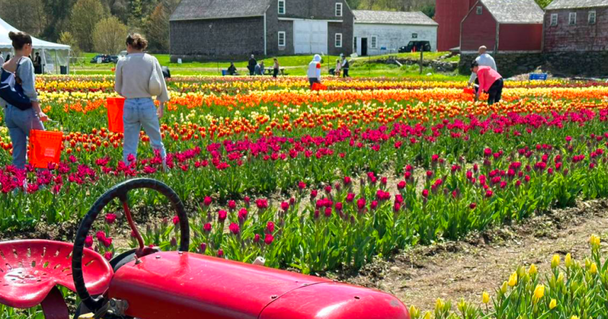 Things to Do in Connecticut this Spring | CTvisit