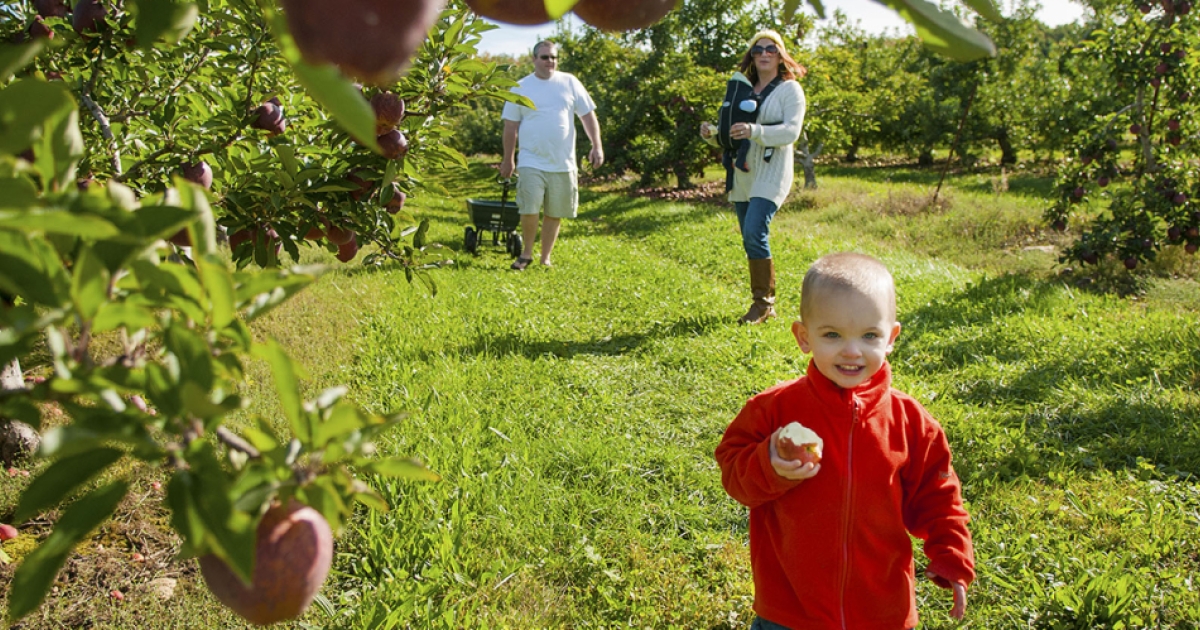 Holmberg Orchards & Winery | CTvisit