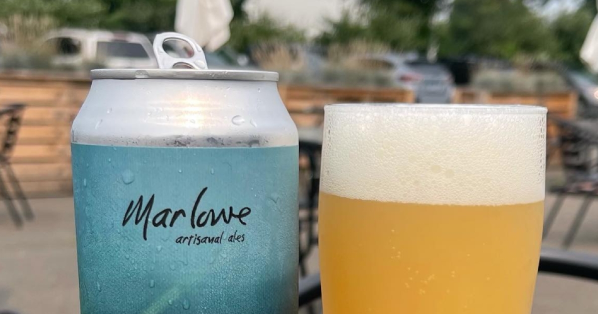 Twelve Percent Beer Project Brewery | CTvisit