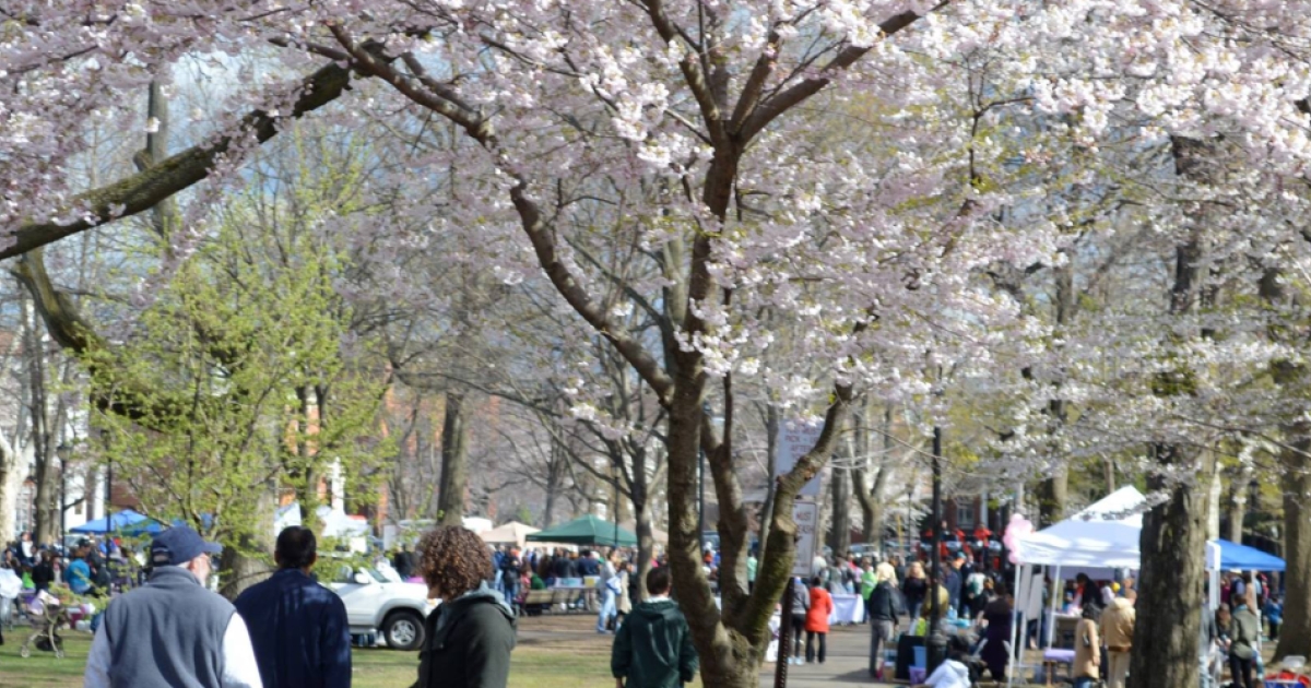 Wooster Square | CTvisit