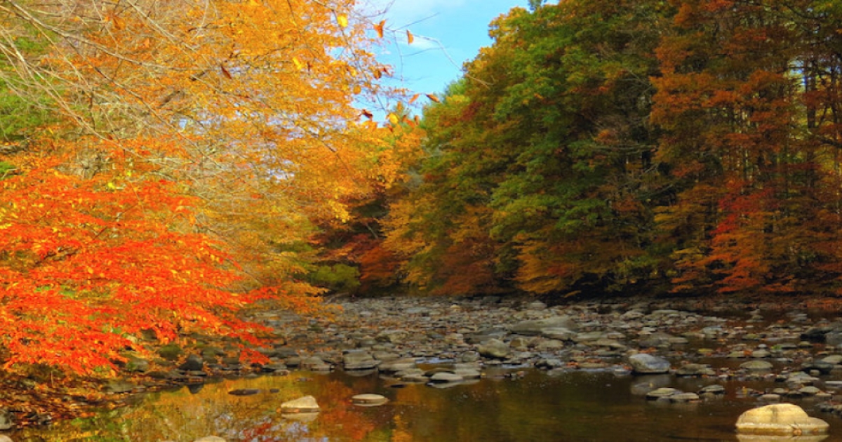 Instagrammable Connecticut: Fall Gems | CTvisit