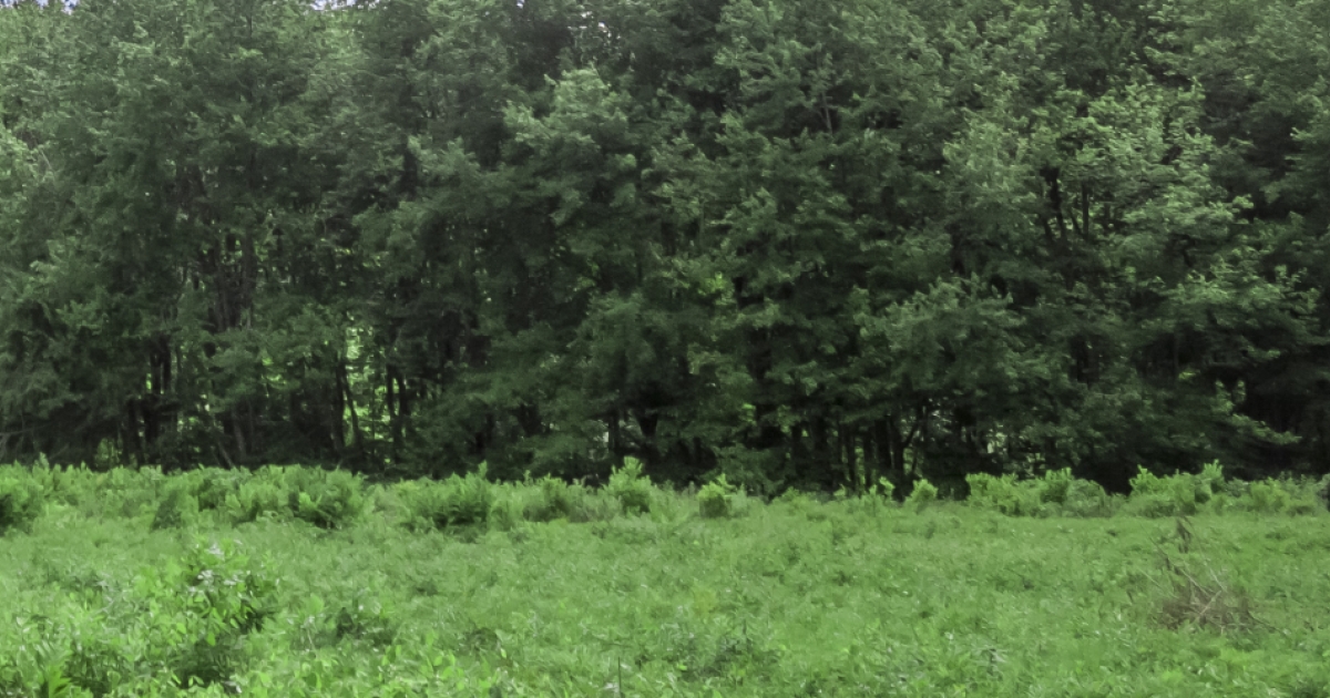 Coogan Farm Nature & Heritage Center | CTvisit