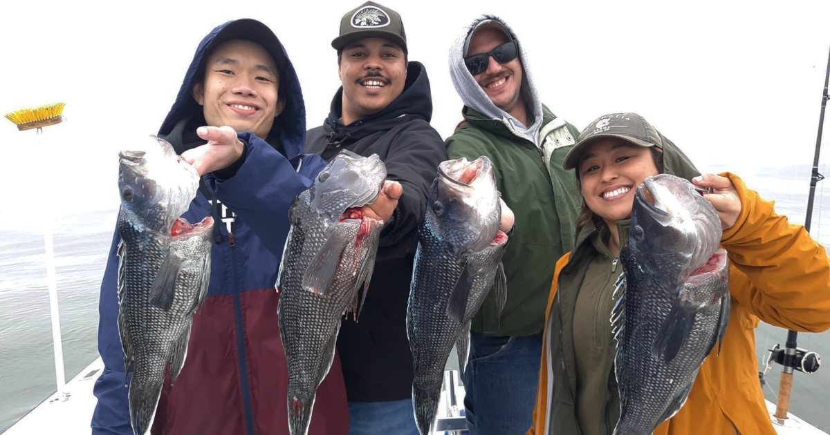 Striper Snax Fishing Charters | CTvisit