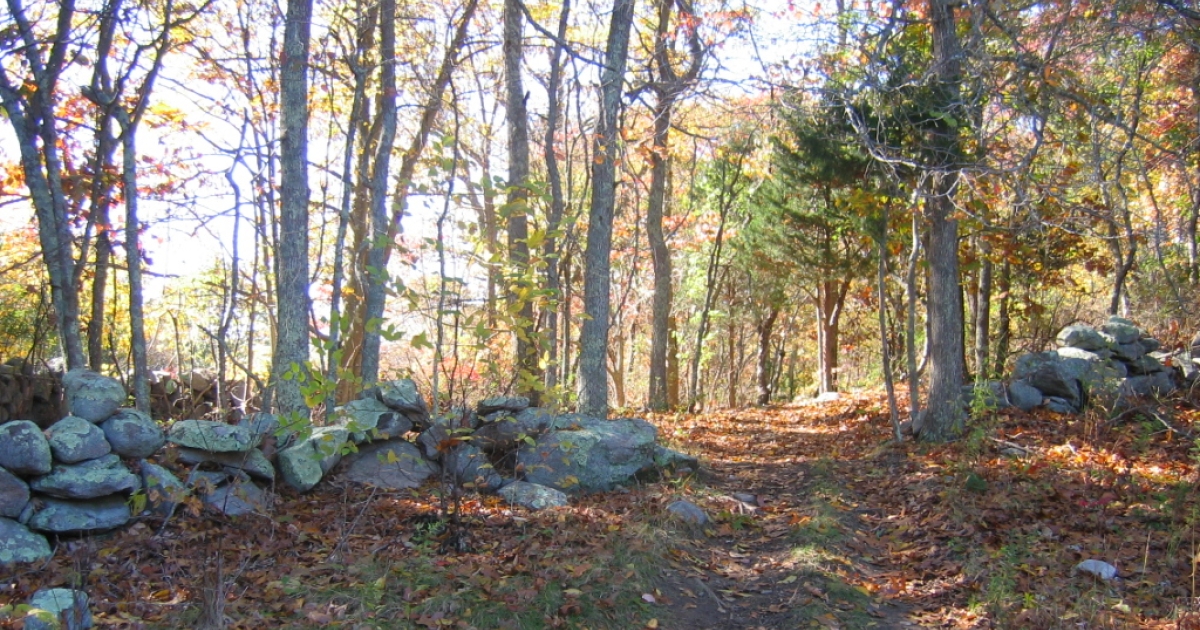 The Merritt Family Forest | CTvisit